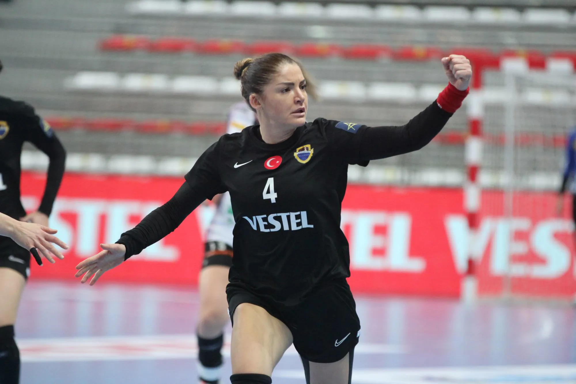 Coverage of DELO EHF Champions League: 29 January
